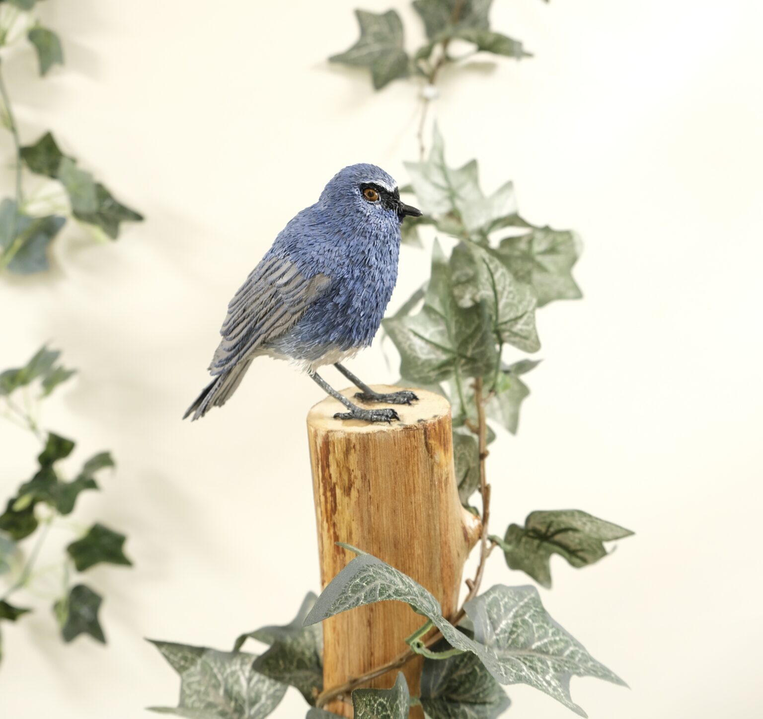 The Birds of the Shola Sky Island - Arnab Kumar Das